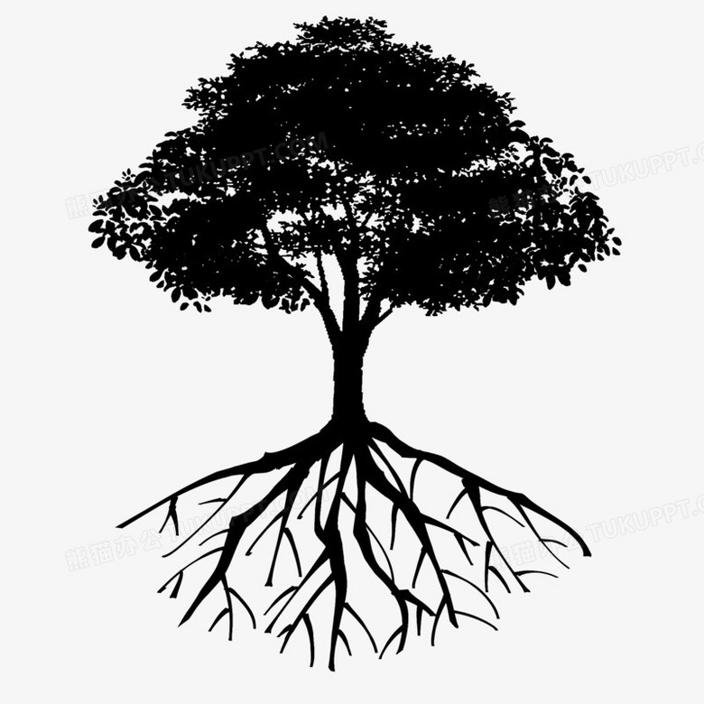 大树树根黑色剪影免抠PNG图片素材下载_素材PNG_熊猫办公