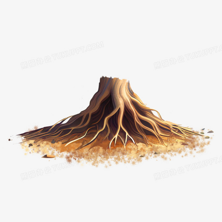 手绘写实风参天大树树根PNG图片素材下载_手绘PNG_熊猫办公