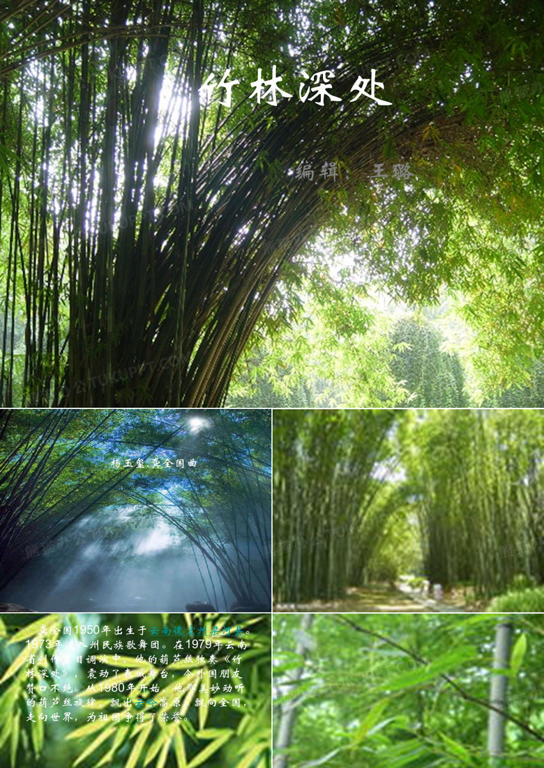 竹林深处PPT模板下载_编号lpzogrnl_熊猫办公
