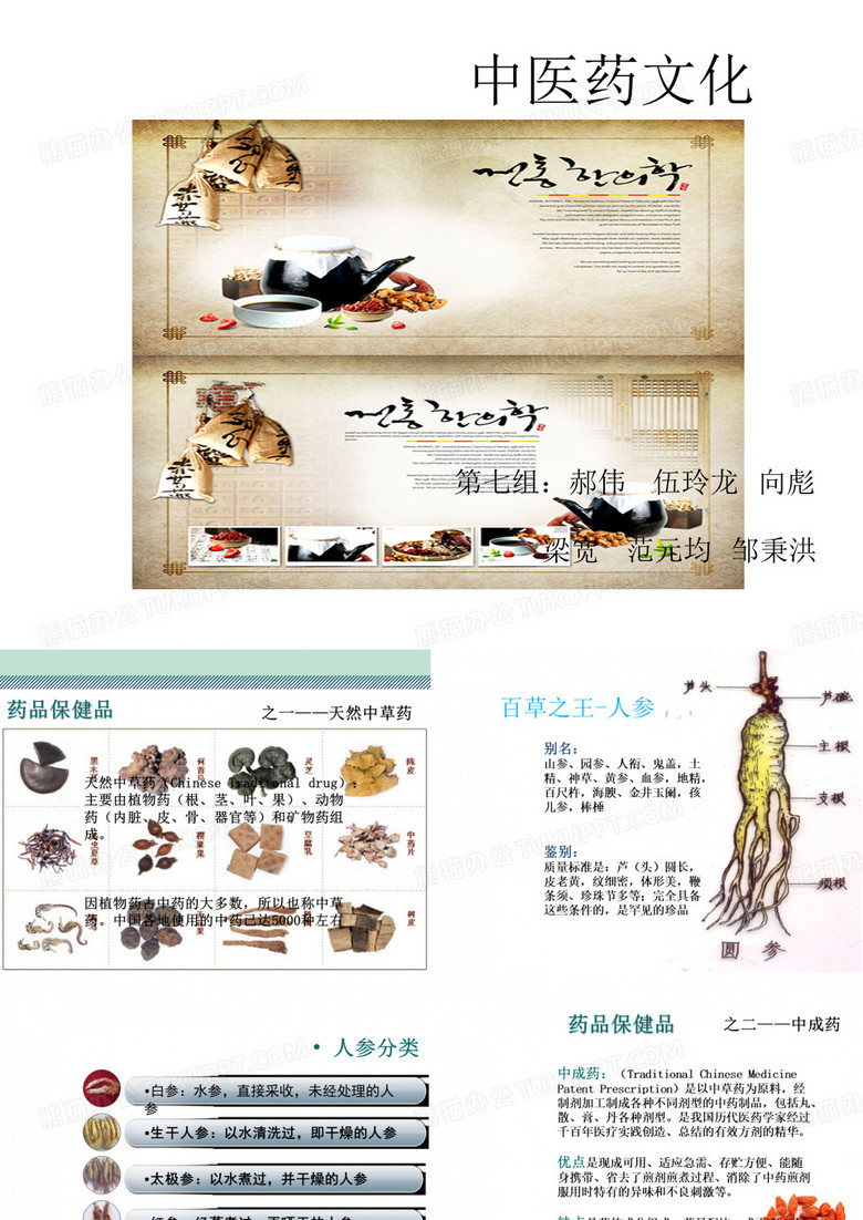 中医药文化课件PPT模板下载_编号qxnwepze_熊猫办公