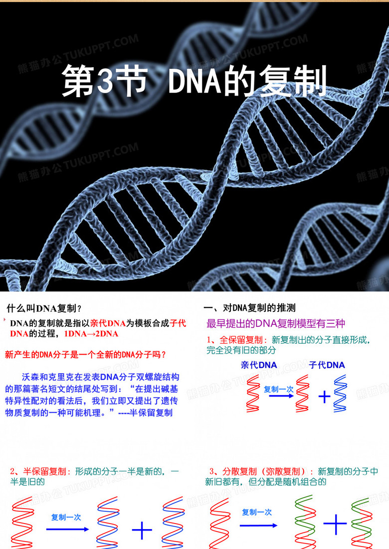 高中生物：dna的复制PPT模板下载_编号qzbjeegd_熊猫办公