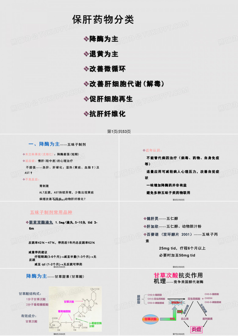 护肝药精简PPT模板下载_编号lmdprbdb_熊猫办公