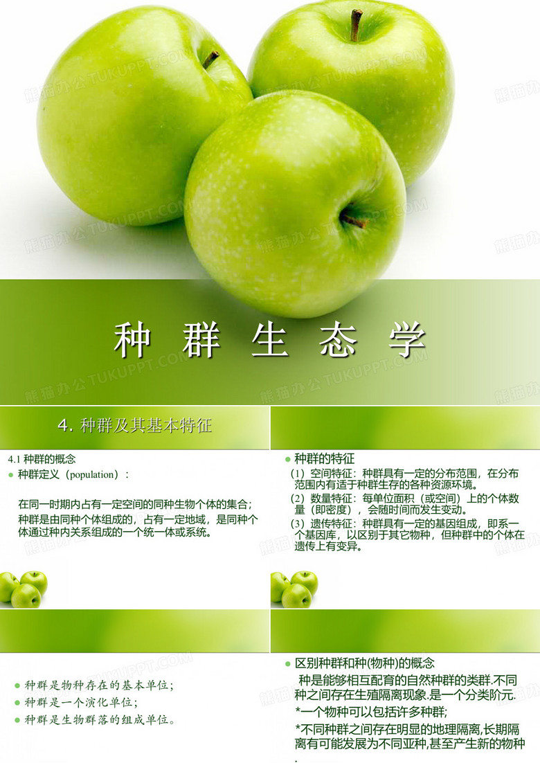 中国海洋大学种群生态学一ppt模板下载编号qdvnrzjp熊猫办公