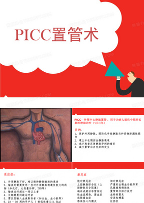 piccPPT模板_piccPPT模板下载_熊猫办公