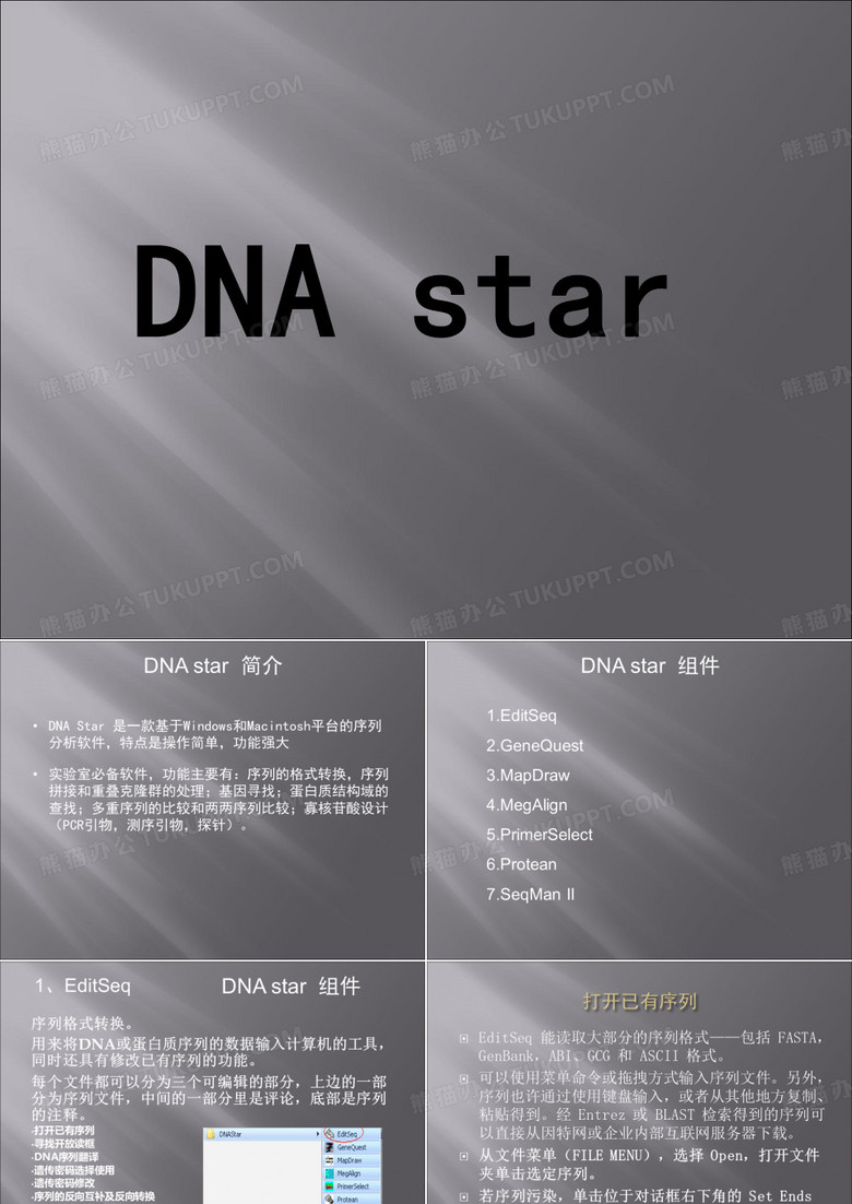 dnastar简介PPT模板下载_编号lzazbdmx_熊猫办公