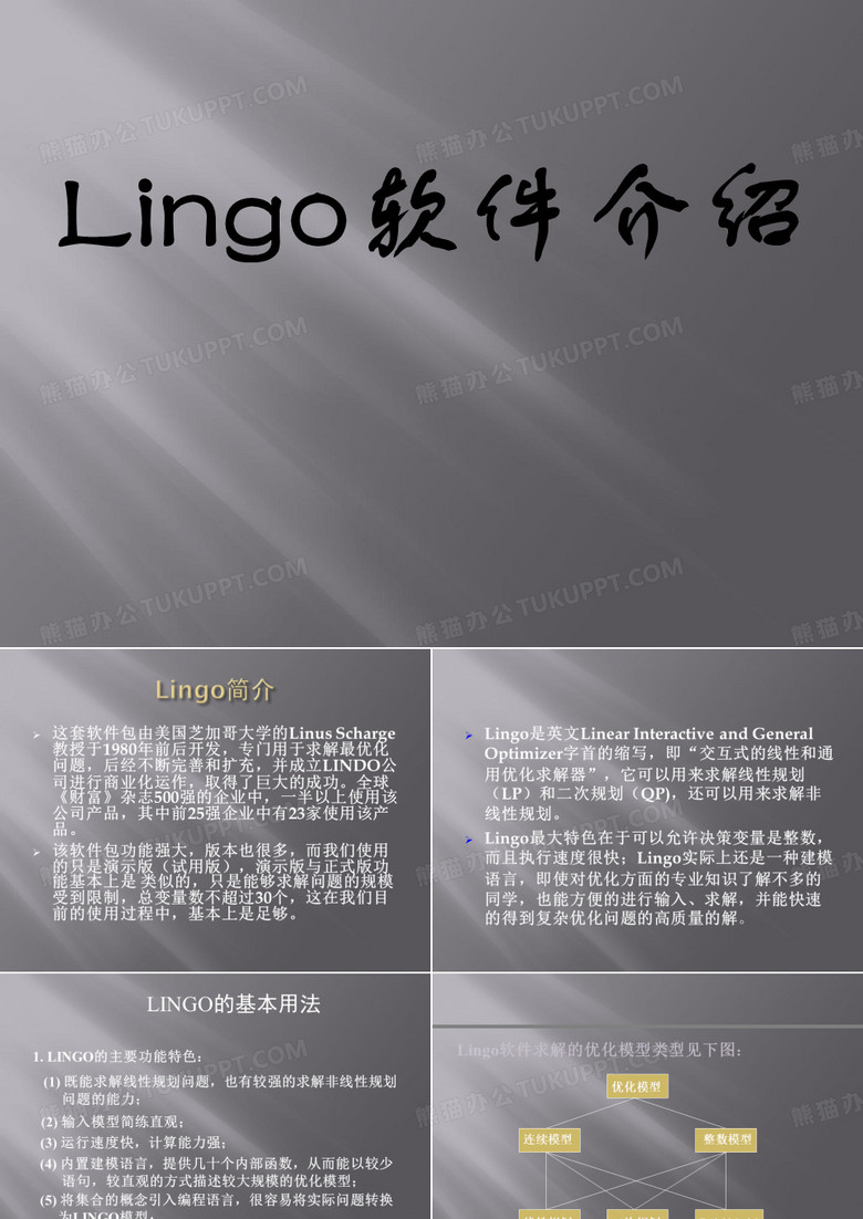 lingo软件介绍PPT模板下载_编号qadbznvj_熊猫办公