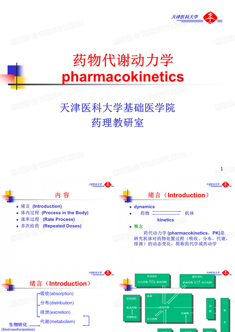 药代学PPT模板下载_编号qgemyypz_熊猫办公