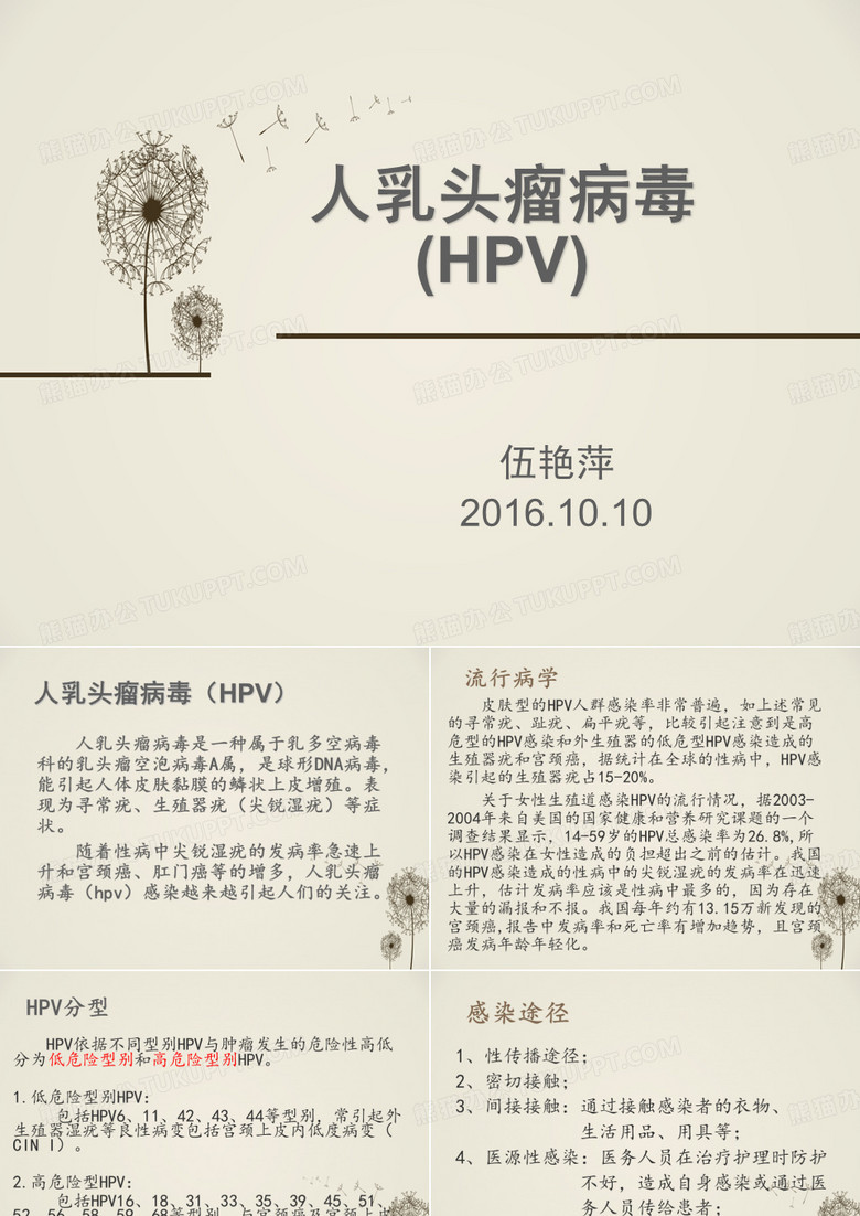 hpv(新)PPT模板下载_编号lmpaymzp_熊猫办公