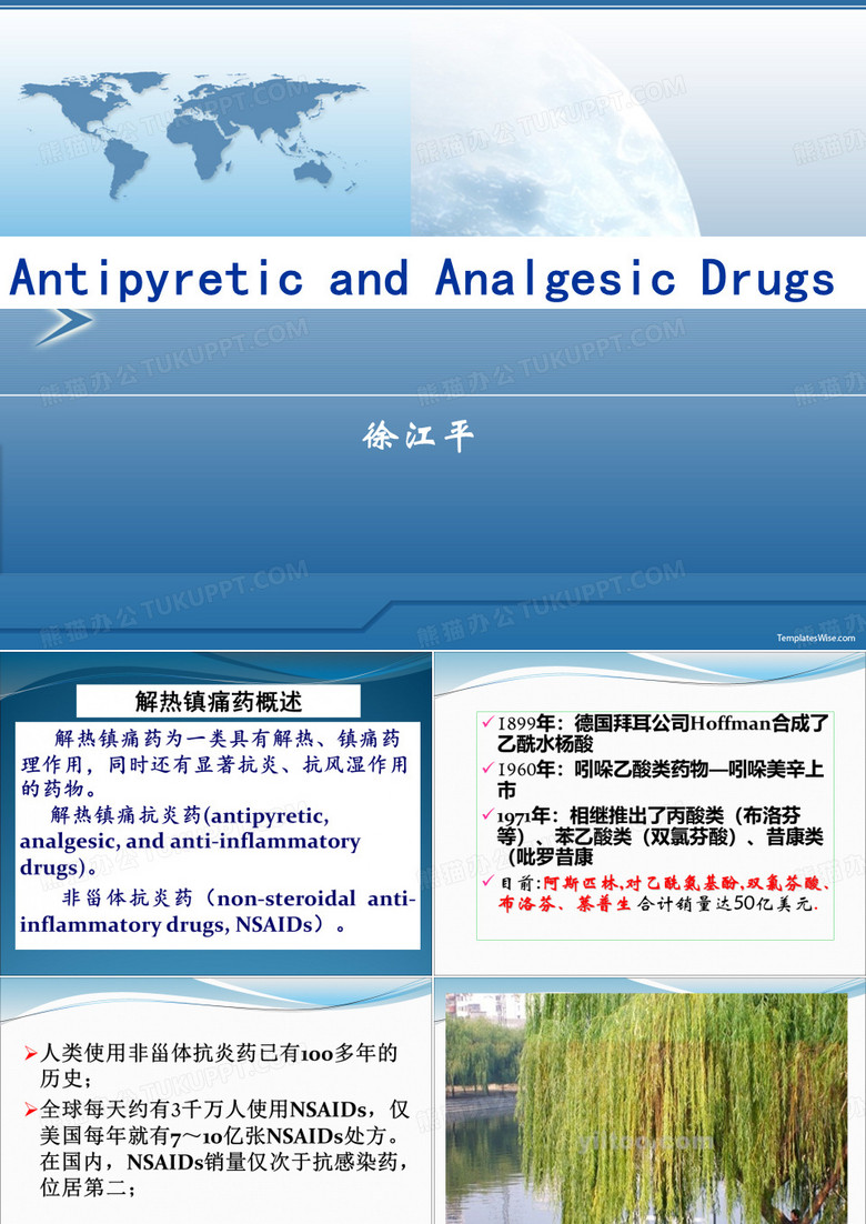 解热镇痛药PPT模板下载_编号qyozeywd_熊猫办公