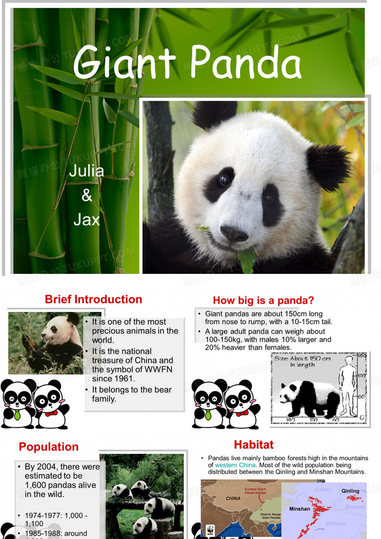 introductionofgiantpanda大熊猫英文介绍PPT模板下载_编号qpjxogvp_熊猫办公