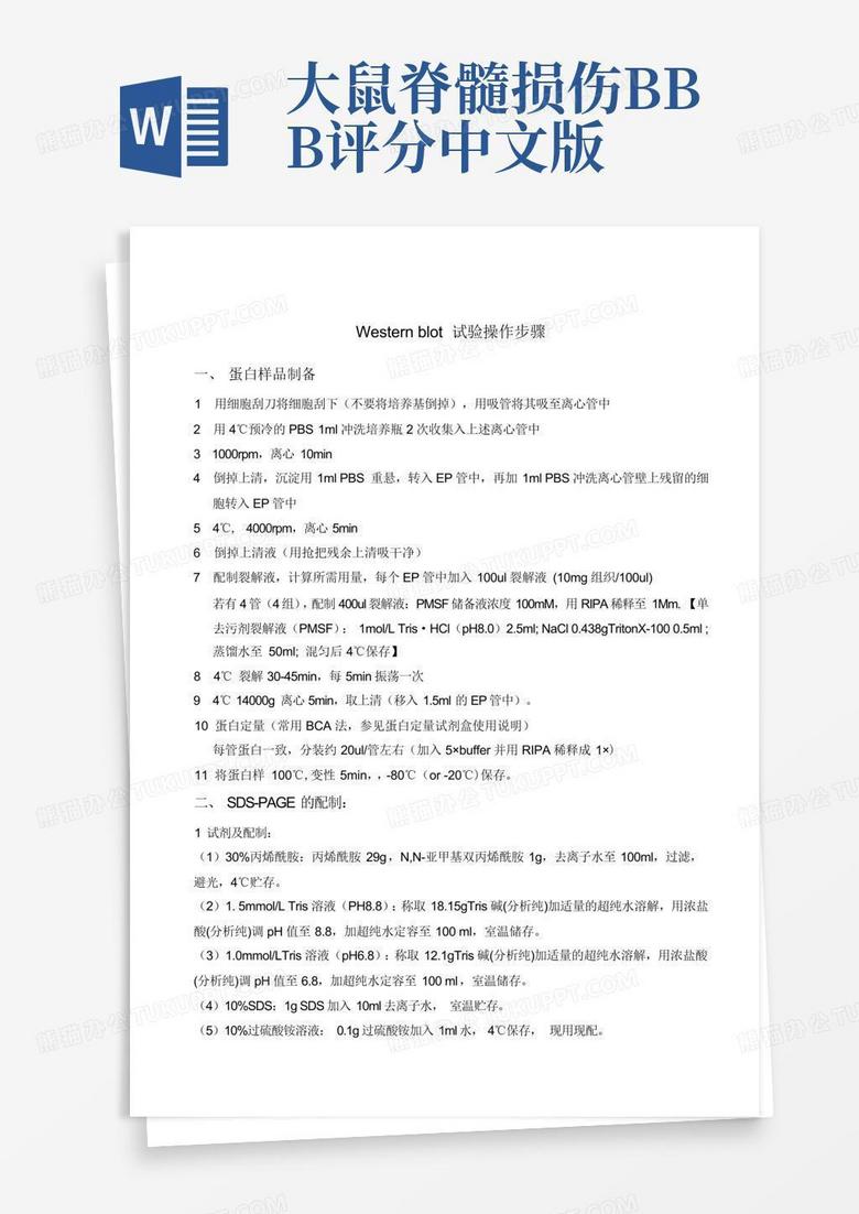 大鼠脊髓损伤bbb评分中文版Word模板下载_编号qekrkxoo_熊猫办公