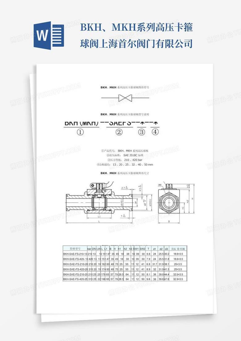 bkh、mkh系列高压卡箍球阀-上海首尔阀门有限公司Word模板下载_编号lrwrzodb_熊猫办公