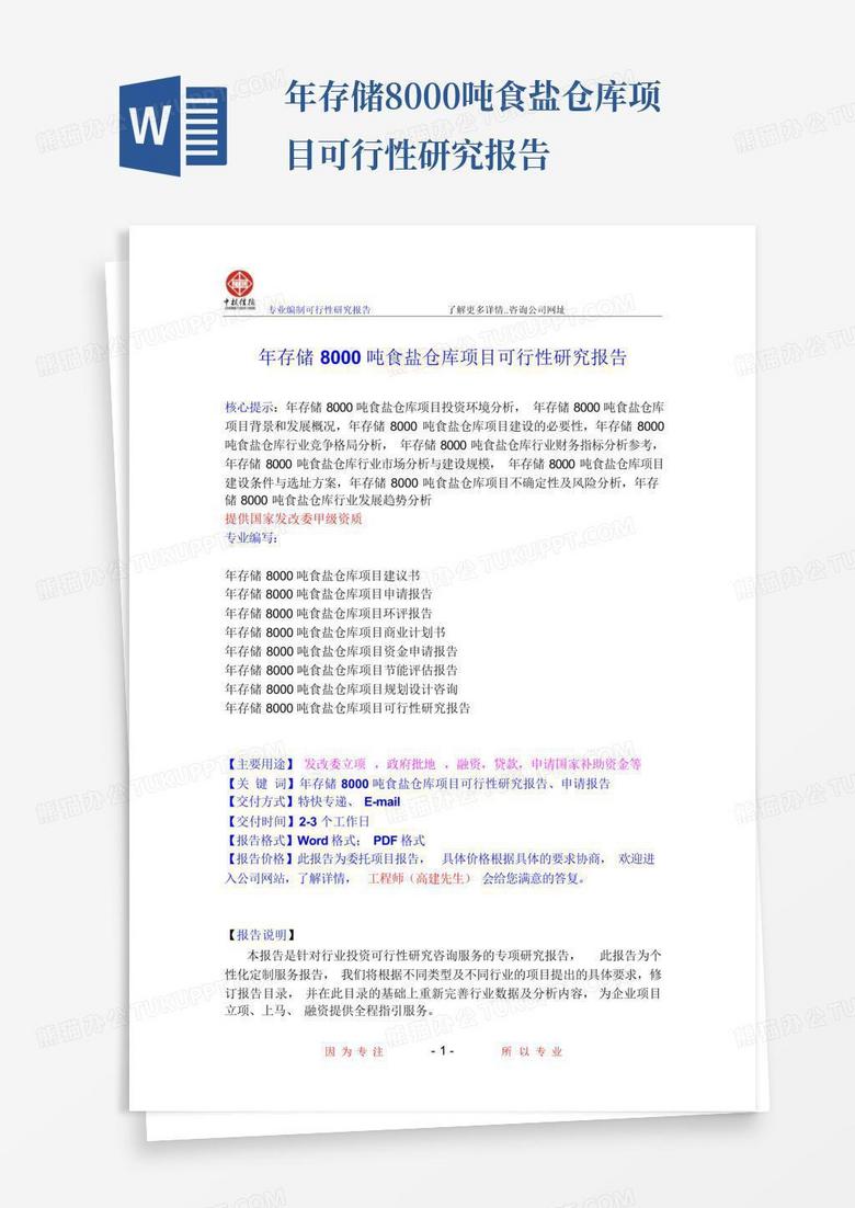 年存储8000吨食盐仓库项目可行性研究报告-Word模板下载_编号qkdgmeap_熊猫办公