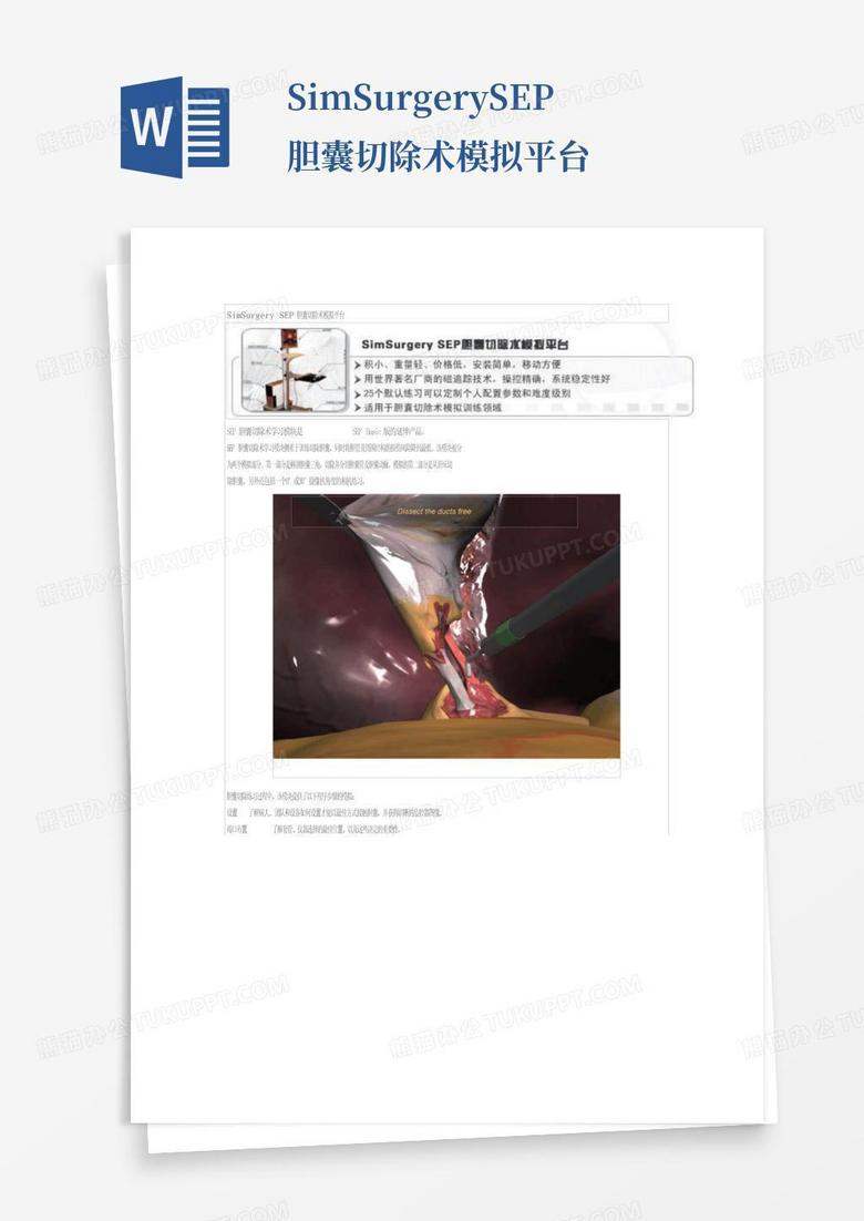simsurgerysep胆囊切除术模拟平台Word模板下载_编号lvwyenzv_熊猫办公