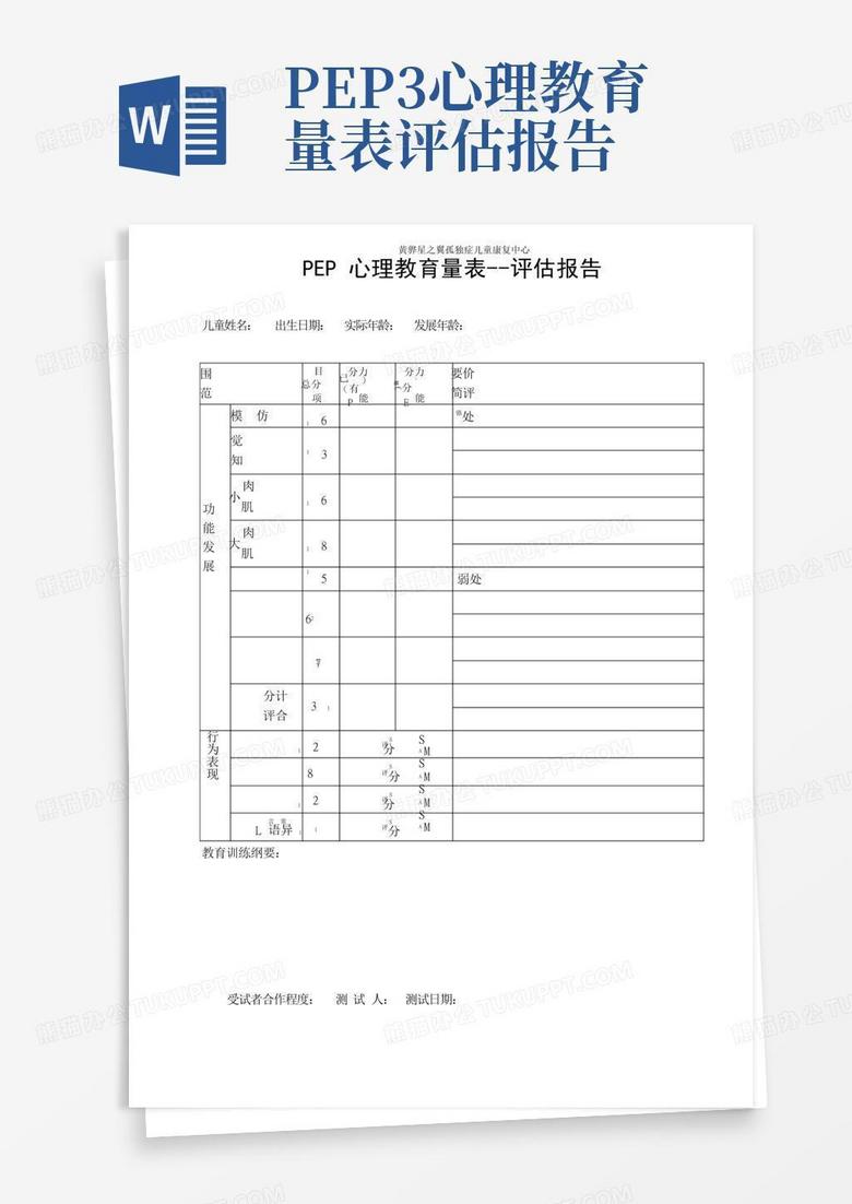 pep-3心理教育量表--评估报告-Word模板下载_编号lgynxayj_熊猫办公