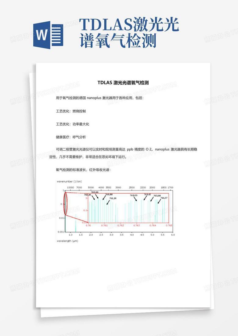 tdlas激光光谱氧气检测Word模板下载_编号qwgpbomv_熊猫办公