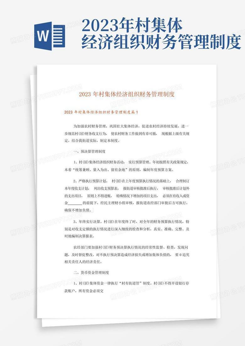 2023年村集体经济组织财务管理制度Word模板下载_编号ldybrwwo_熊猫办公