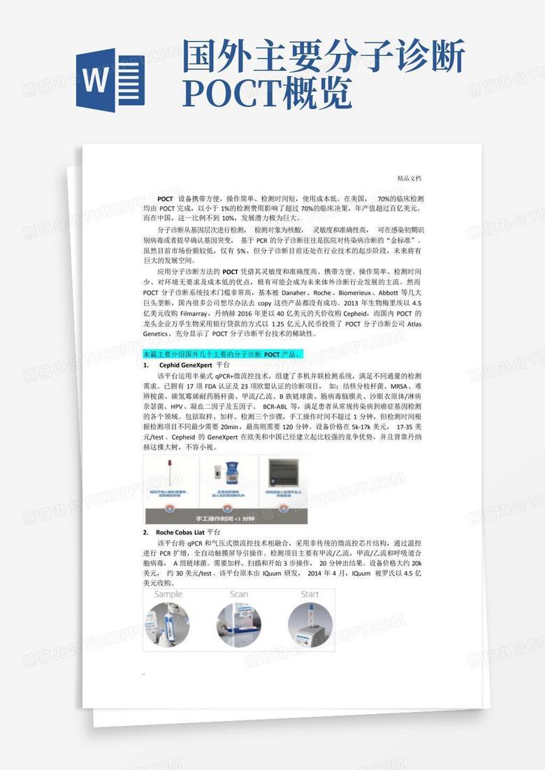 国外主要分子诊断poct概览Word模板下载_编号qndjkypk_熊猫办公