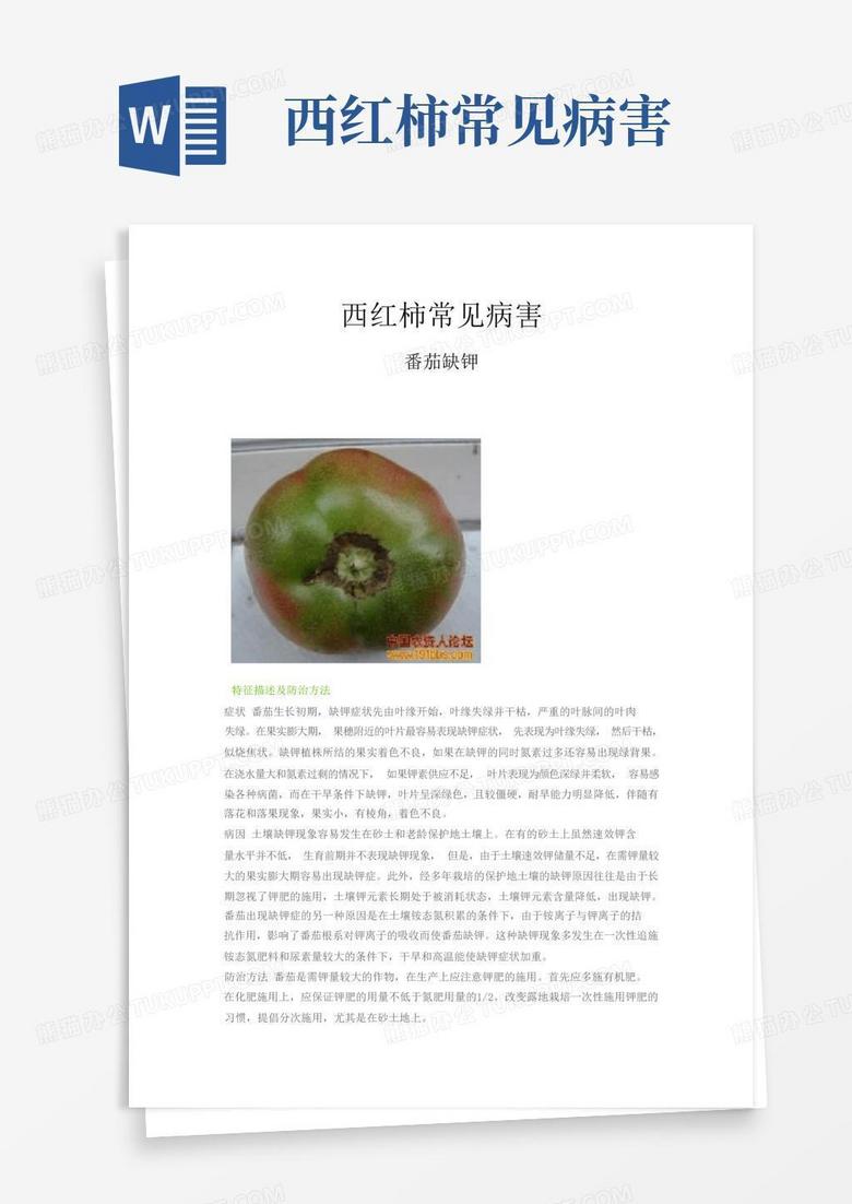 西红柿常见病害Word模板下载_编号ladbkjjm_熊猫办公