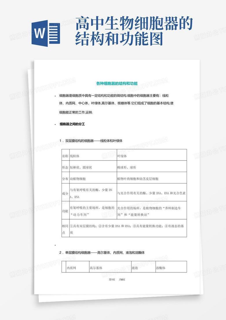 高中生物细胞器的结构和功能图word模板下载 编号lwdraznw 熊猫办公