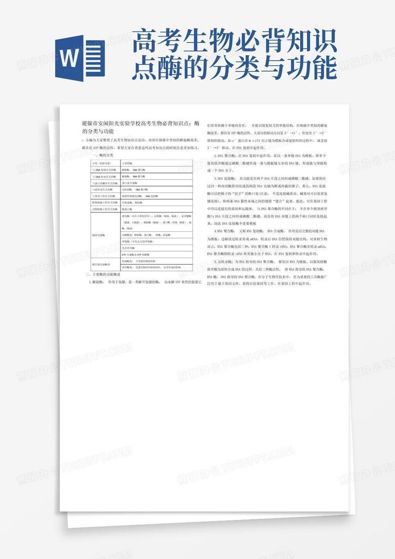 高考生物必背知识点酶的分类与功能Word模板下载_编号lgegkbbv_熊猫办公