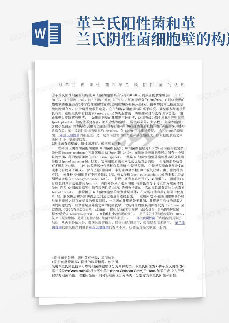 革兰氏阳性菌和革兰氏阴性菌细胞壁的构造word模板下载 编号lvzegoen 熊猫办公