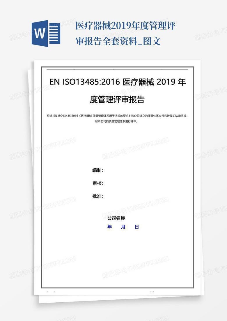 医疗器械2019年度管理评审报告全套资料_图文Word模板下载_编号qwdoanew_熊猫办公