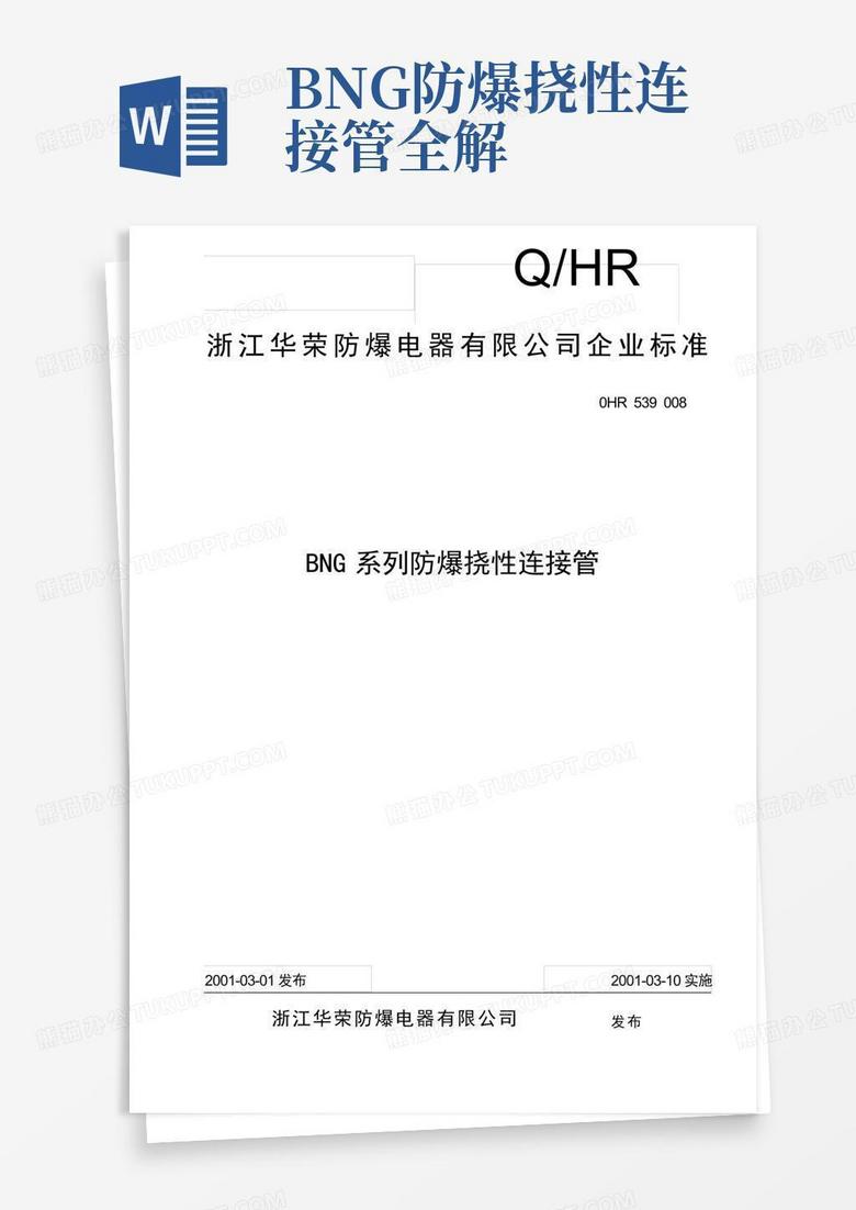 bng防爆挠性连接管全解Word模板下载_编号lzgmppkv_熊猫办公