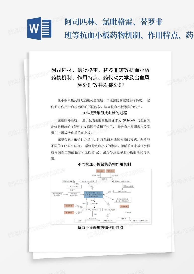 阿司匹林、氯吡格雷、替罗非班等抗血小板药物机制、作用特点、药代动力word模板下载编号qappoppn熊猫办公