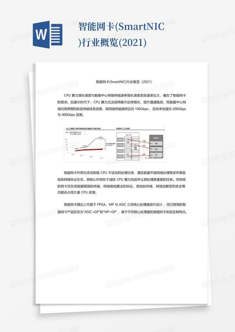 智能网卡(smartnic)行业概览(2021)Word模板下载_编号lxrbeorj_熊猫办公