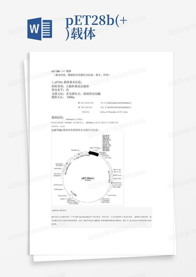 pet-28b(+)载体Word模板下载_编号ldoxmomy_熊猫办公