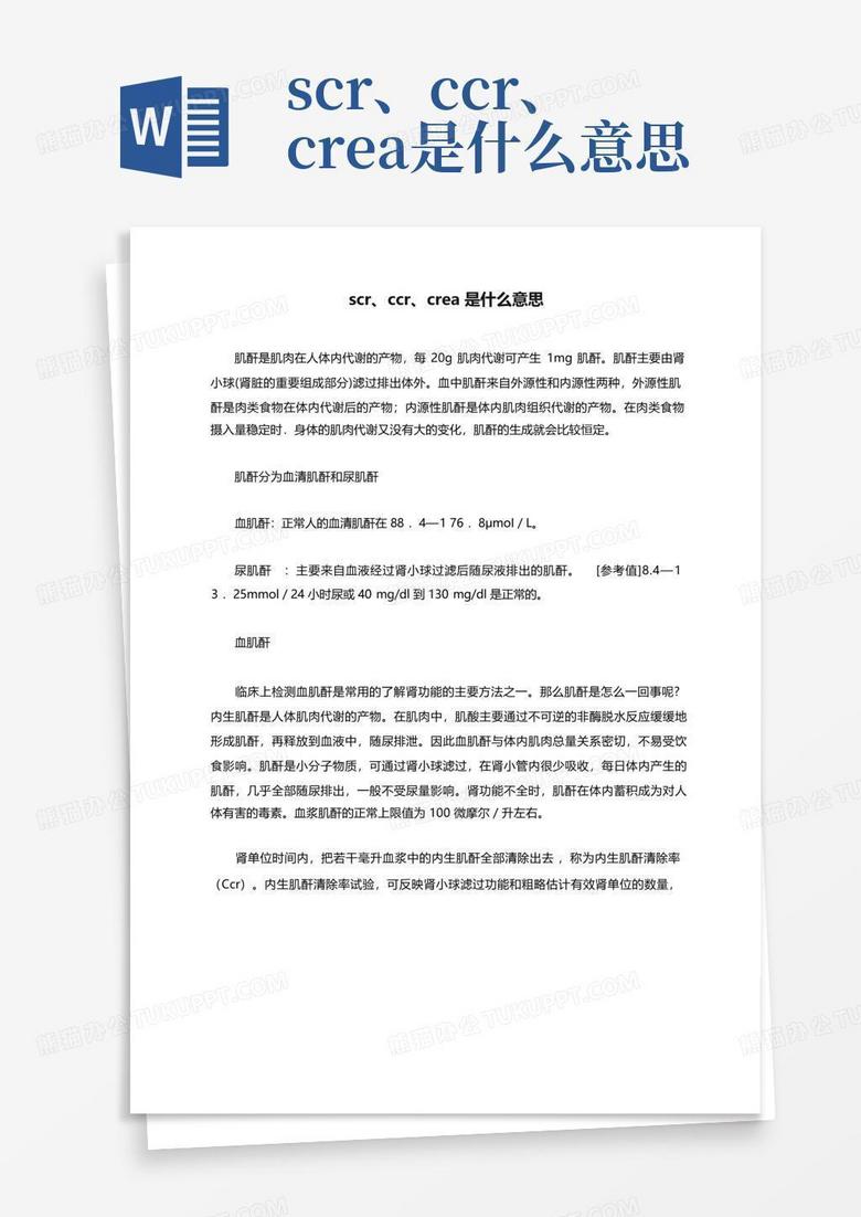 scr、ccr、crea是什么意思Word模板下载_编号lbjrbeny_熊猫办公