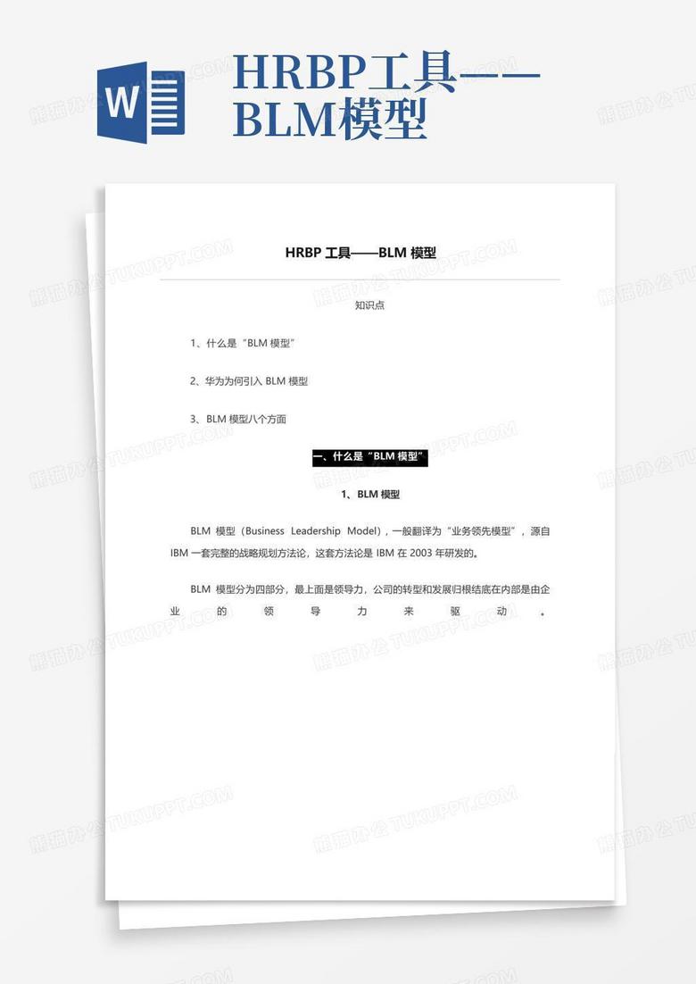 hrbp工具——blm模型Word模板下载_编号lbmpkxyj_熊猫办公