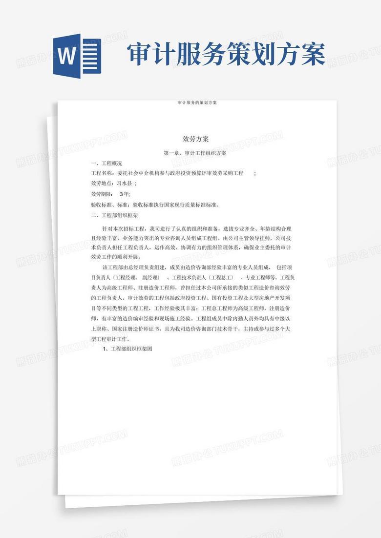 审计服务策划方案word模板下载 编号lxdvxaav 熊猫办公