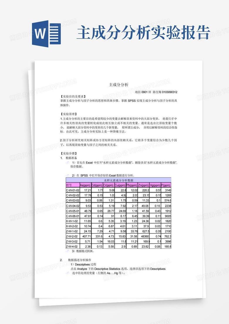 主成分分析实验报告Word模板下载_编号qdpgmpmj_熊猫办公