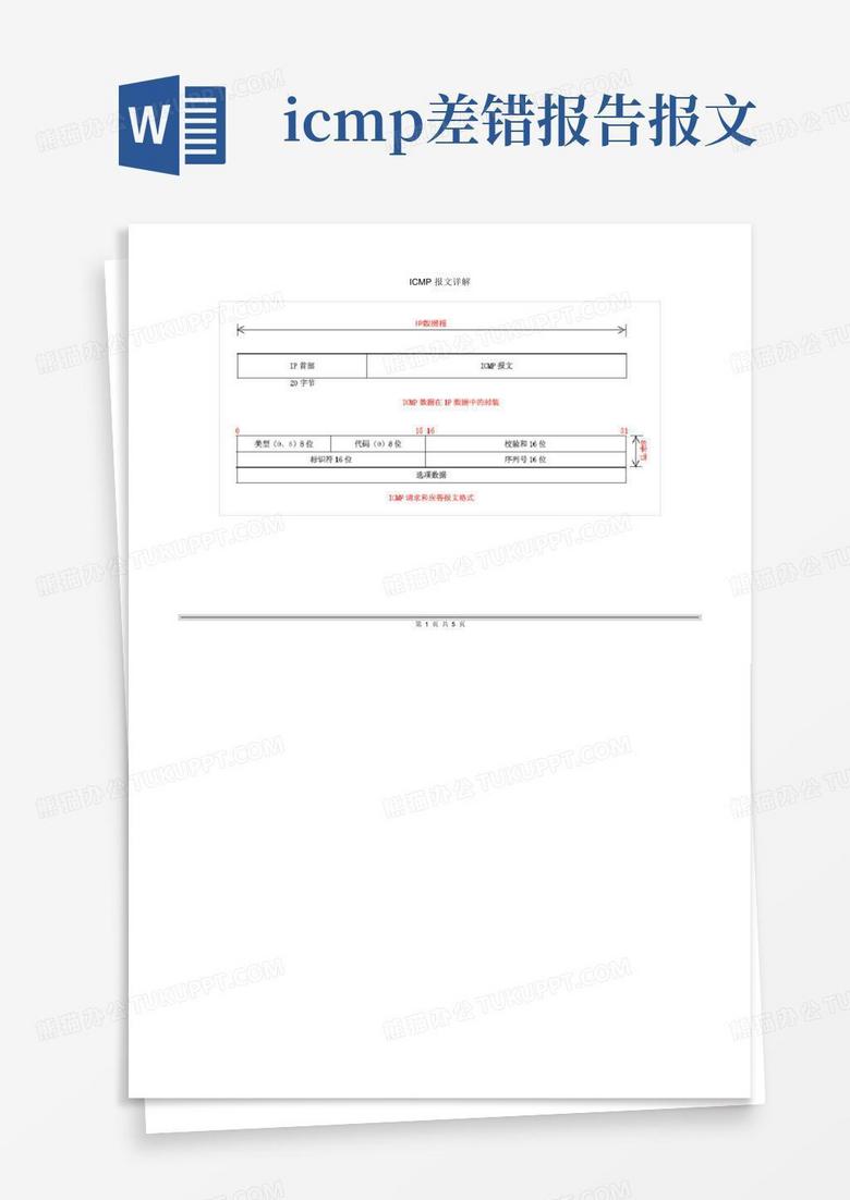 icmp报文详解Word模板下载_编号lzadxeny_熊猫办公