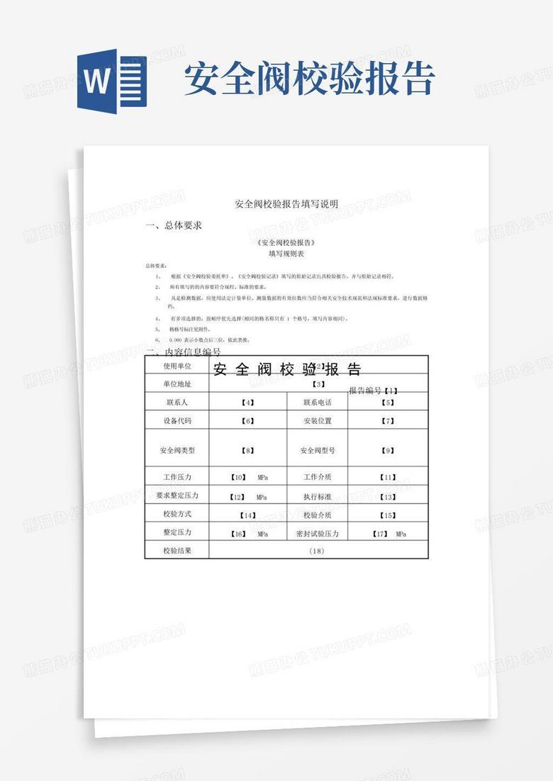安全阀校验报告填写说明Word模板下载_编号lvmdyegr_熊猫办公