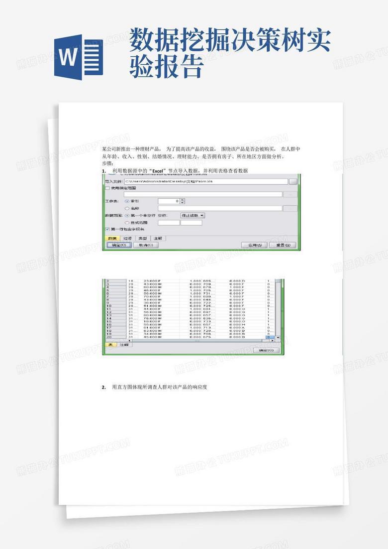 数据挖掘 决策树法 上机实验word模板下载 编号qkjvdybe 熊猫办公