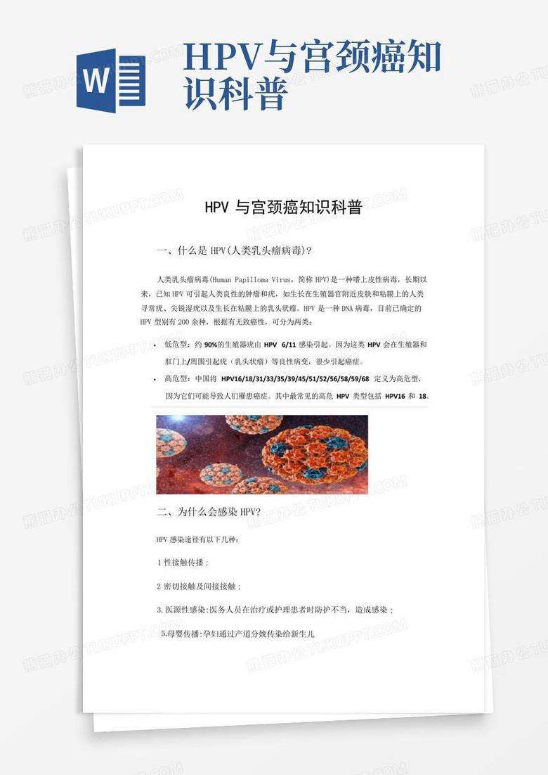 hpv与宫颈癌知识科普Word模板下载_编号qwobmnba_熊猫办公