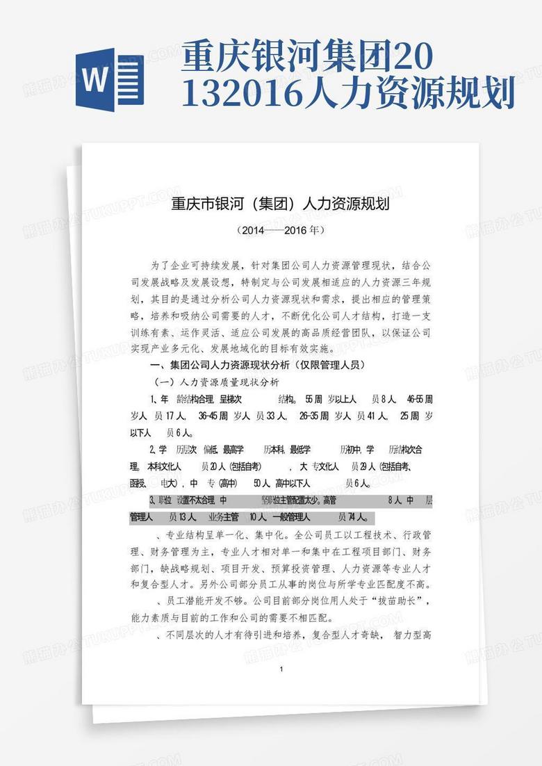 重庆银河集团2013-2016人力资源规划-Word模板下载_编号qwpywjan_熊猫办公
