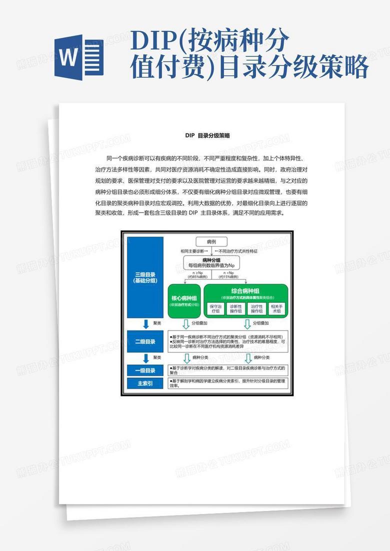 dip(按病种分值付费)目录分级策略Word模板下载_编号leraabzm_熊猫办公