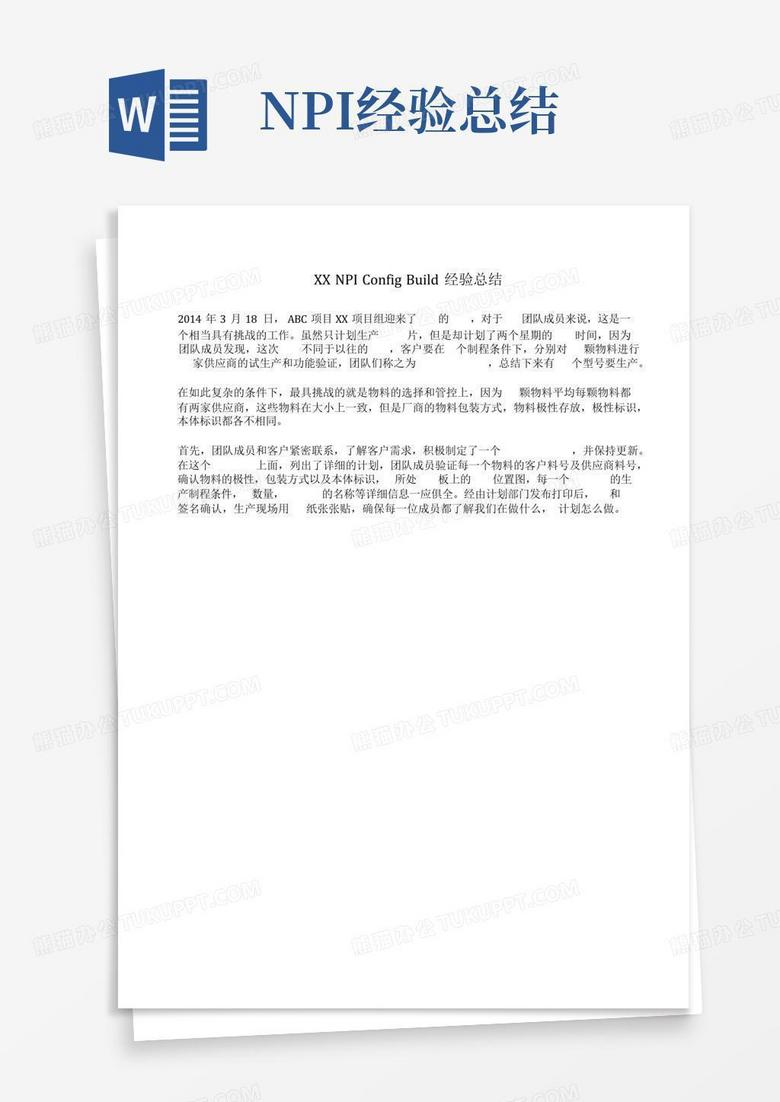 npi经验总结-Word模板下载_编号lgadnaad_熊猫办公