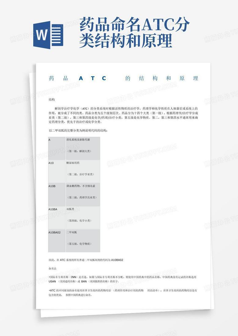 药品命名atc分类结构和原理-Word模板下载_编号qknwkmvw_熊猫办公