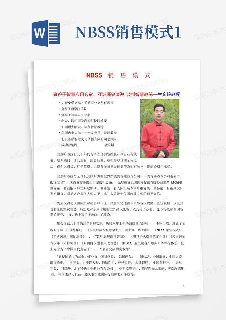 nbss销售模式1-Word模板下载_编号qejnpree_熊猫办公