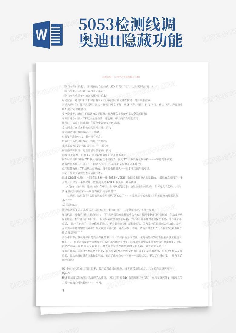 5053检测线调奥迪tt隐藏功能Word模板下载_编号qypyyemz_熊猫办公