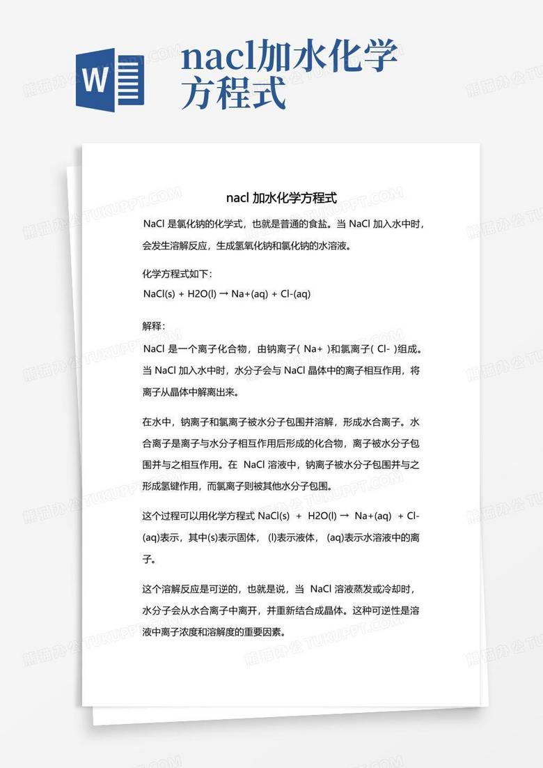 nacl加水化学方程式Word模板下载_编号qbnymwje_熊猫办公