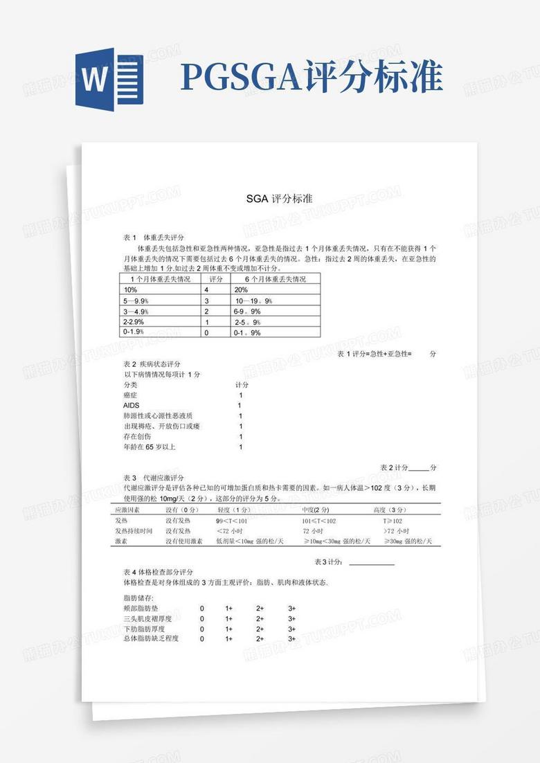 pg-sga评分标准Word模板下载_编号qmmkedma_熊猫办公