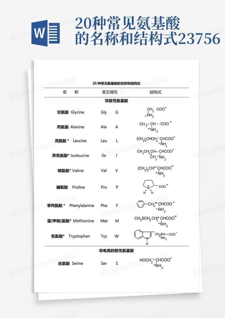 20种常见氨基酸的名称和结构式23756Word模板下载_编号qypraybr_熊猫办公