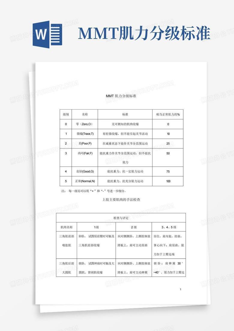 mmt肌力分级标准Word模板下载_编号qgyoyepa_熊猫办公