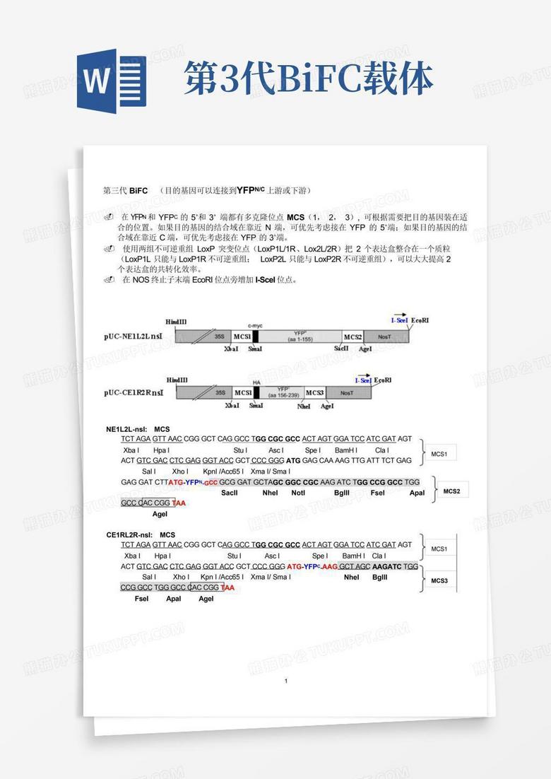 第3代bifc载体Word模板下载_编号lywpmzmz_熊猫办公